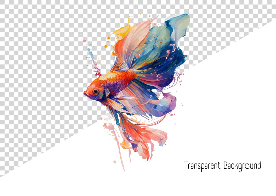 Watercolor Betta Fish Clipart Digital Clipart Fish Wall Decor ...