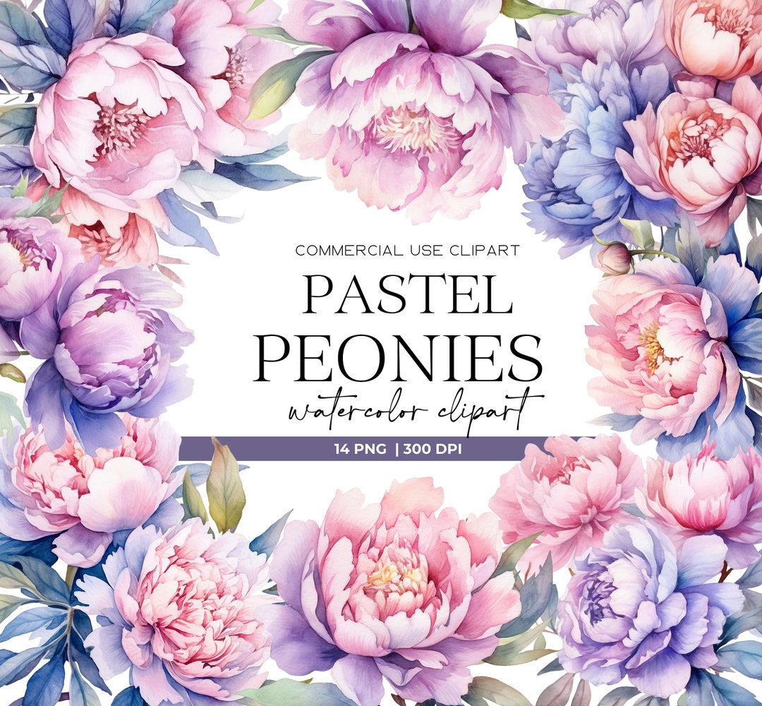 Peony Watercolor Clipart Elegant Bohemian Flowers Romantic Wedding ...