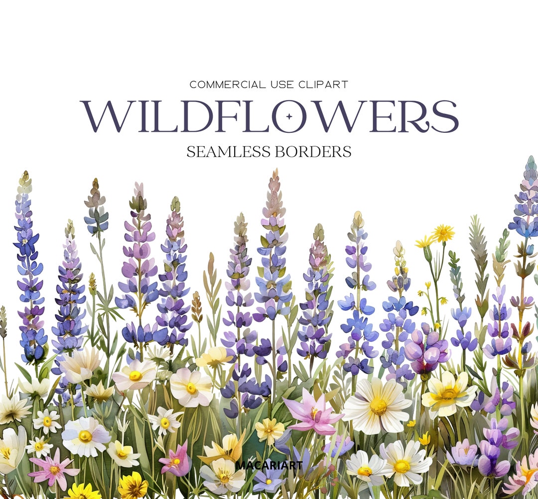 Wildflowers Borders Clipart Floral Watercolor Borders Lavender Flowers ...