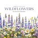 Wildflowers Borders Clipart Floral Watercolor Borders Lavender Flowers ...