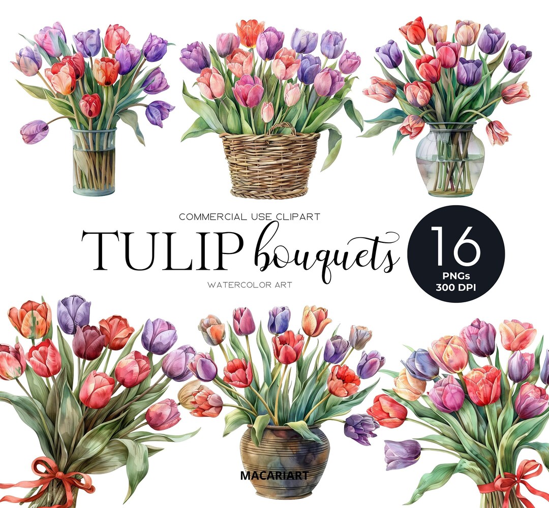 Watercolor Tulip Bouquets Clipart spring Tulips Floral Clipart ...