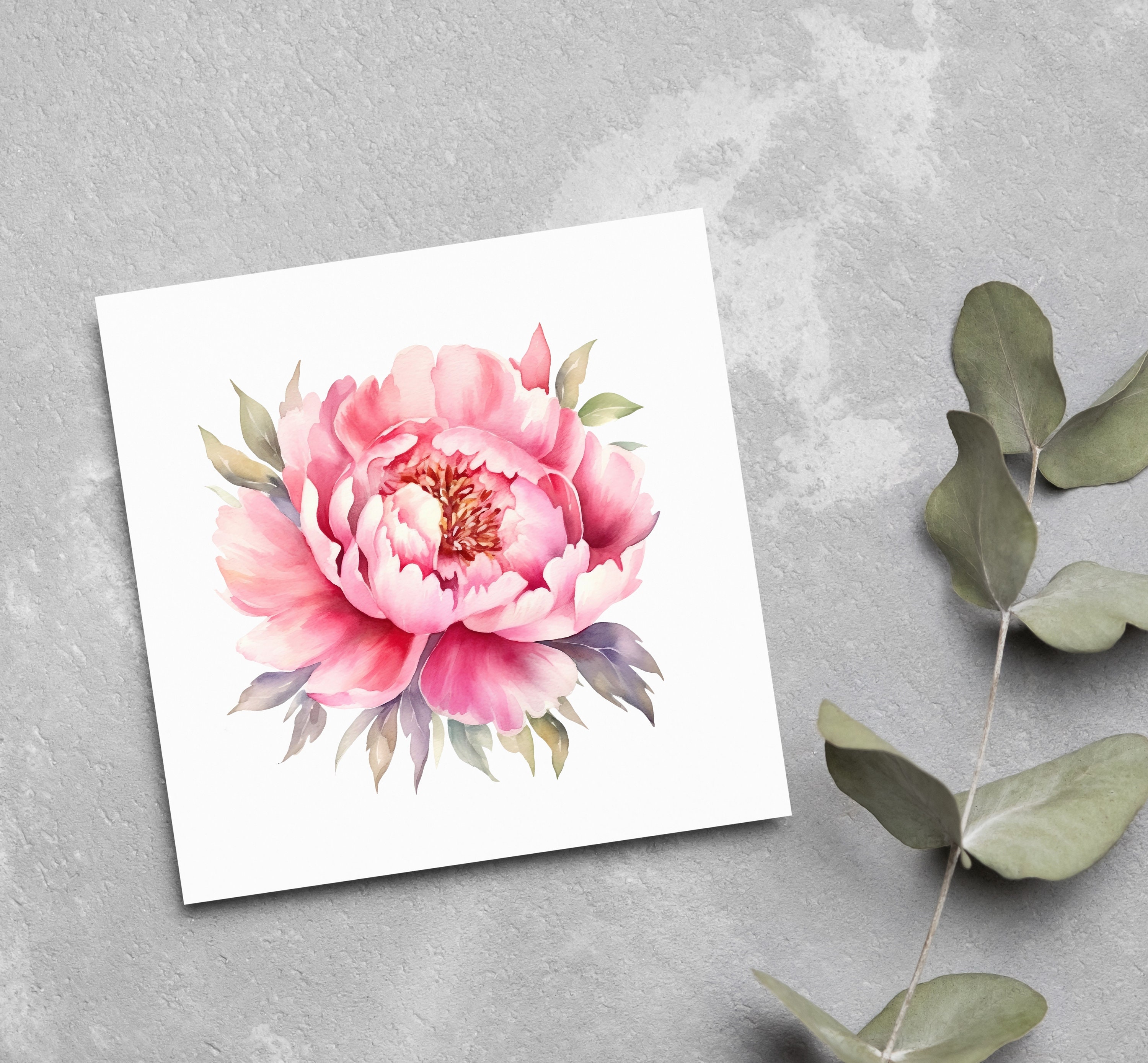Pink Peony Watercolor Clipart Elegant Bohemian Flowers Romantic Wedding ...