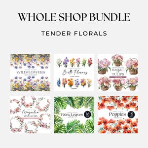 Entire Shop Bundle Unlimited Lifetime Access Whole Shop Clipart Bundle ...