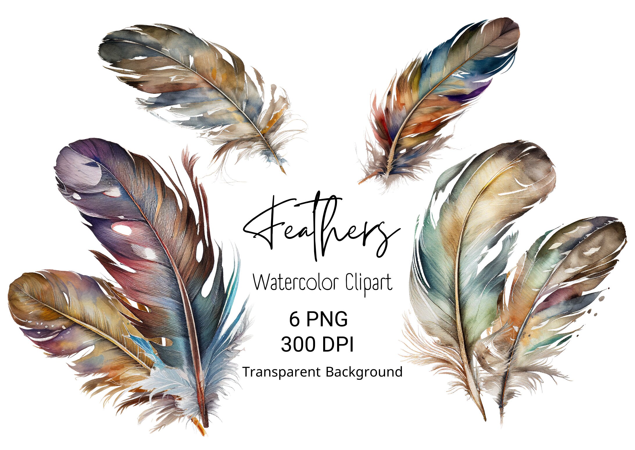 Feather Watercolor Clipart Boho Feather Digital Clipart - Etsy