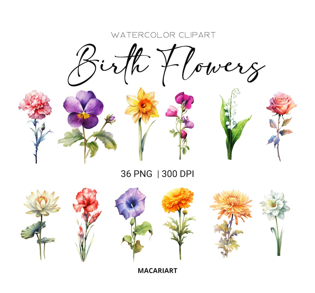 Watercolor Birth Month Flowers Clipart Bundle Digital Watercolor Birth ...