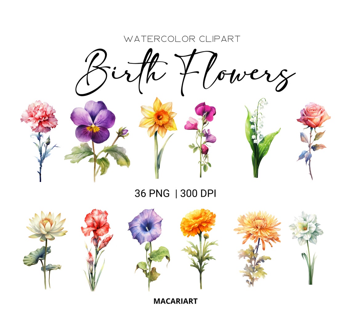 Watercolor Birth Month Flowers Clipart Bundle Digital Watercolor Birth ...