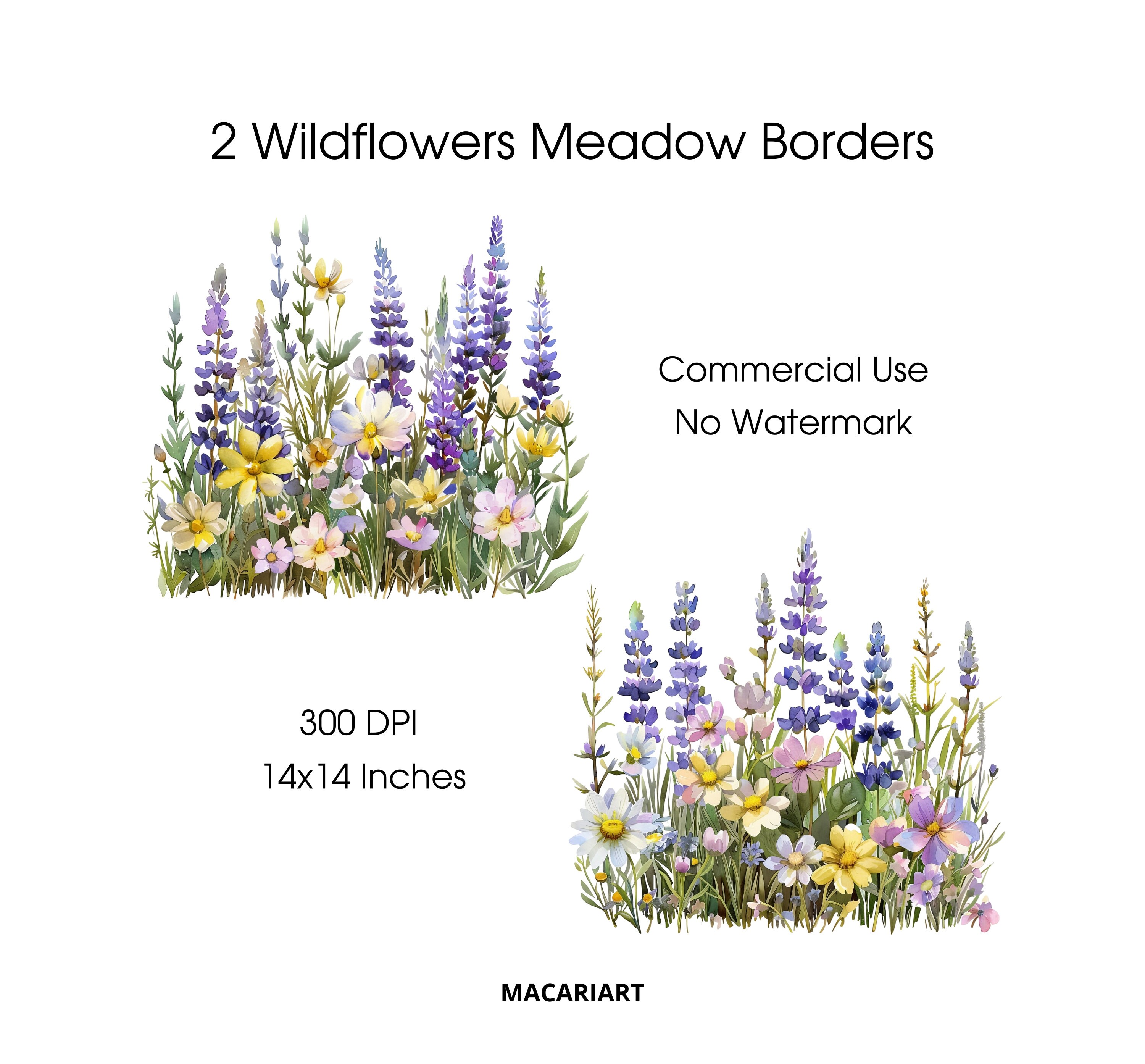 Wildflowers Borders Clipart Floral Watercolor Border Flowers Border ...