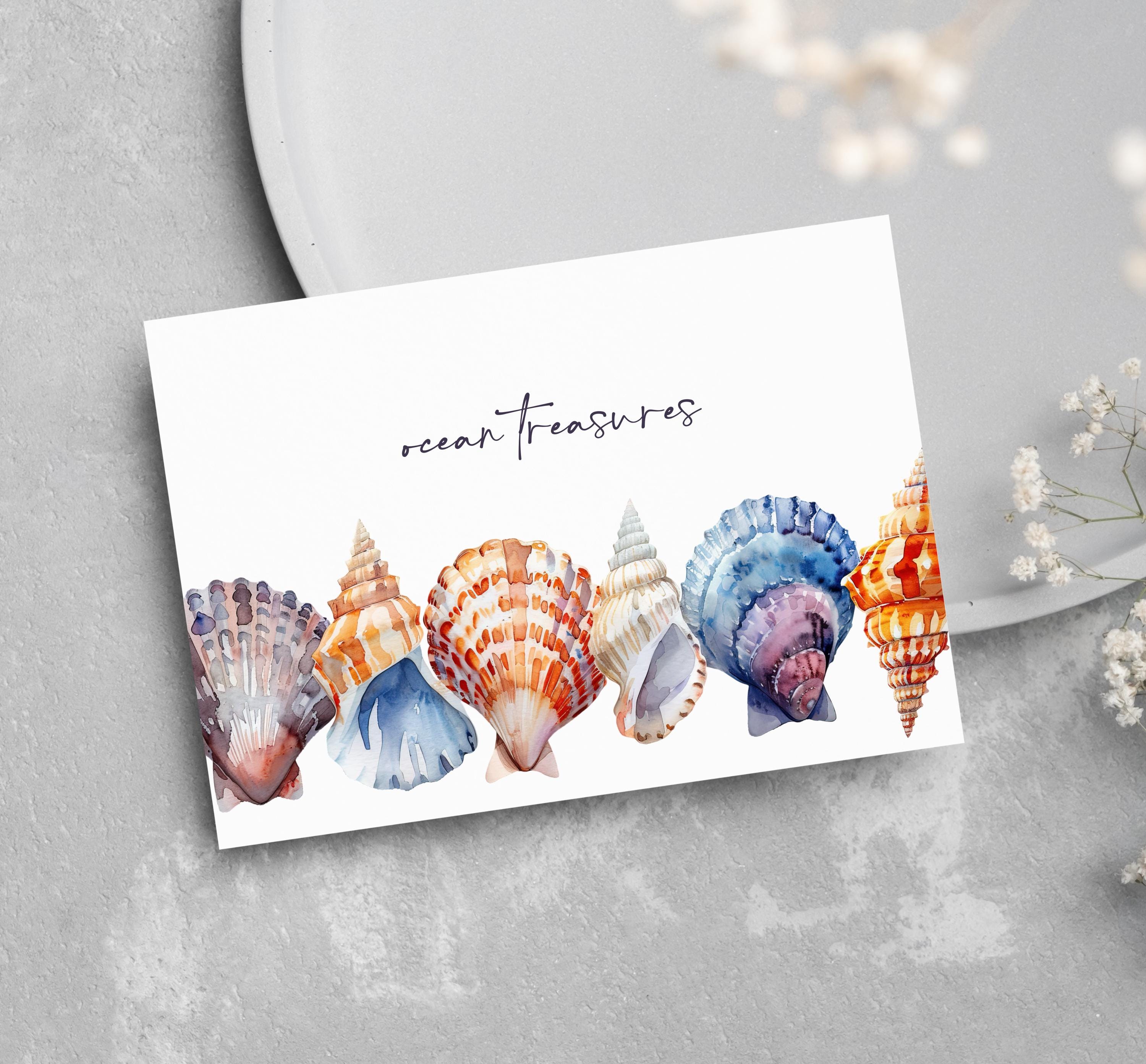 Seashell Border Clipart Sea Theme Border Ocean Decor for Card Making ...