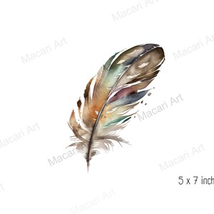 Feather Watercolor Clipart Boho Feather Digital Clipart - Etsy