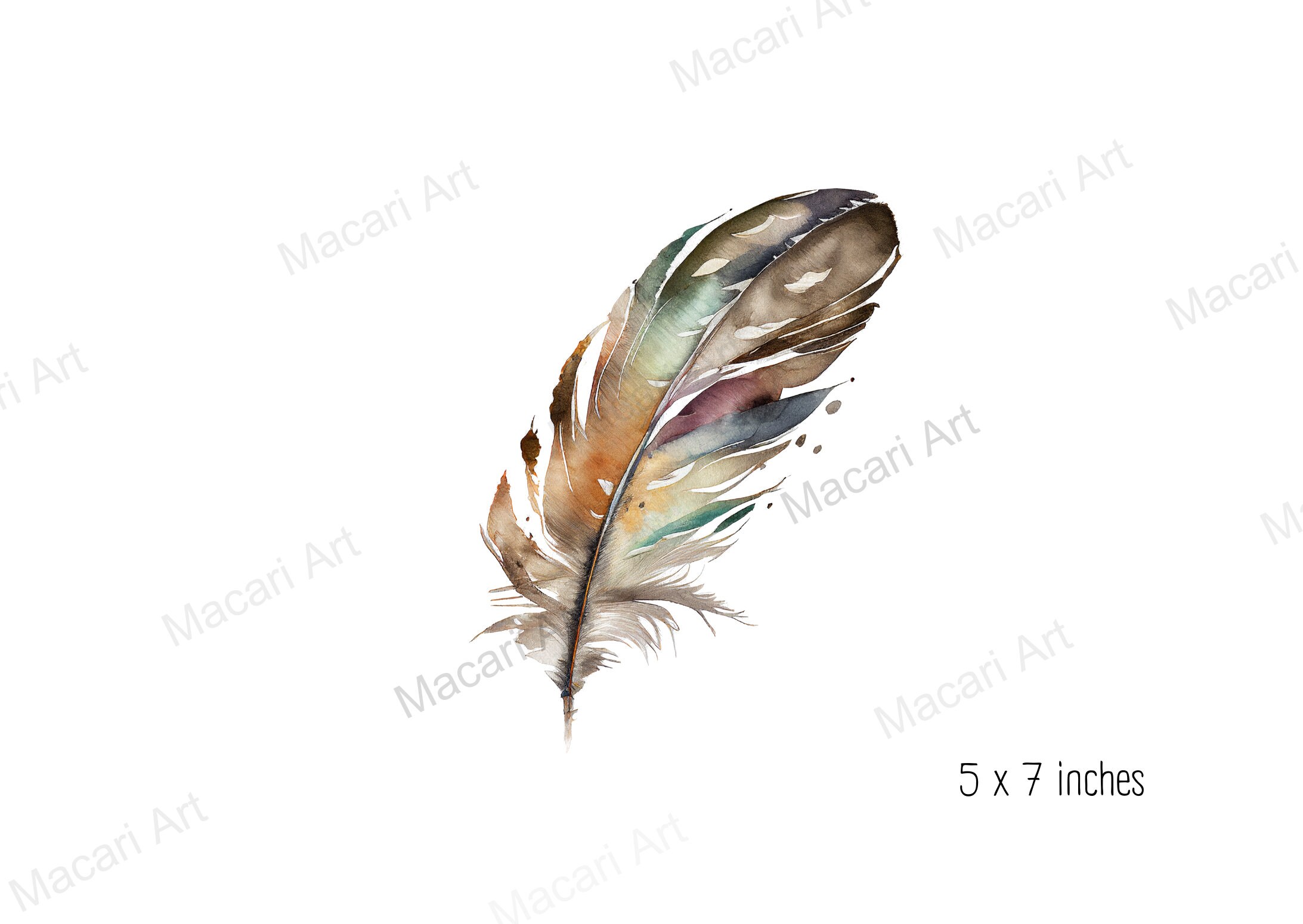 Feather Watercolor Clipart Boho Feather Digital Clipart - Etsy