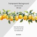 Lemon Garland Clipart Watercolor Fruit Border Citrus Clipart Lemon ...