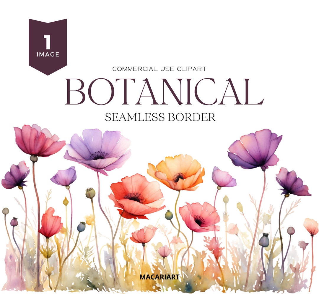 Botanical Flowers Border Clipart Floral Watercolor Border Flowers ...