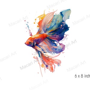 Watercolor Betta Fish Clipart Digital Clipart Fish Wall Decor ...