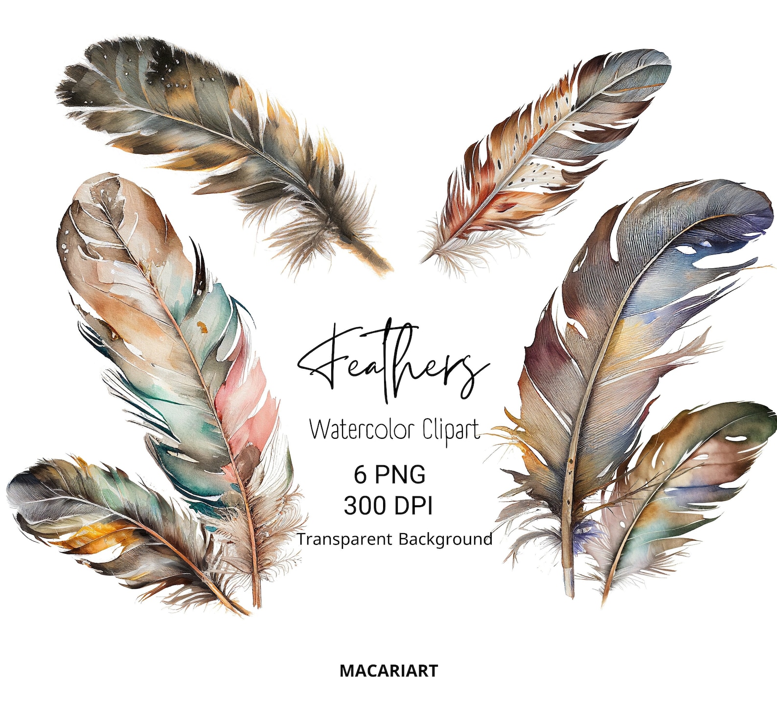 Feather Watercolor Clipart Boho Feather Digital Clipart Feather Wall ...