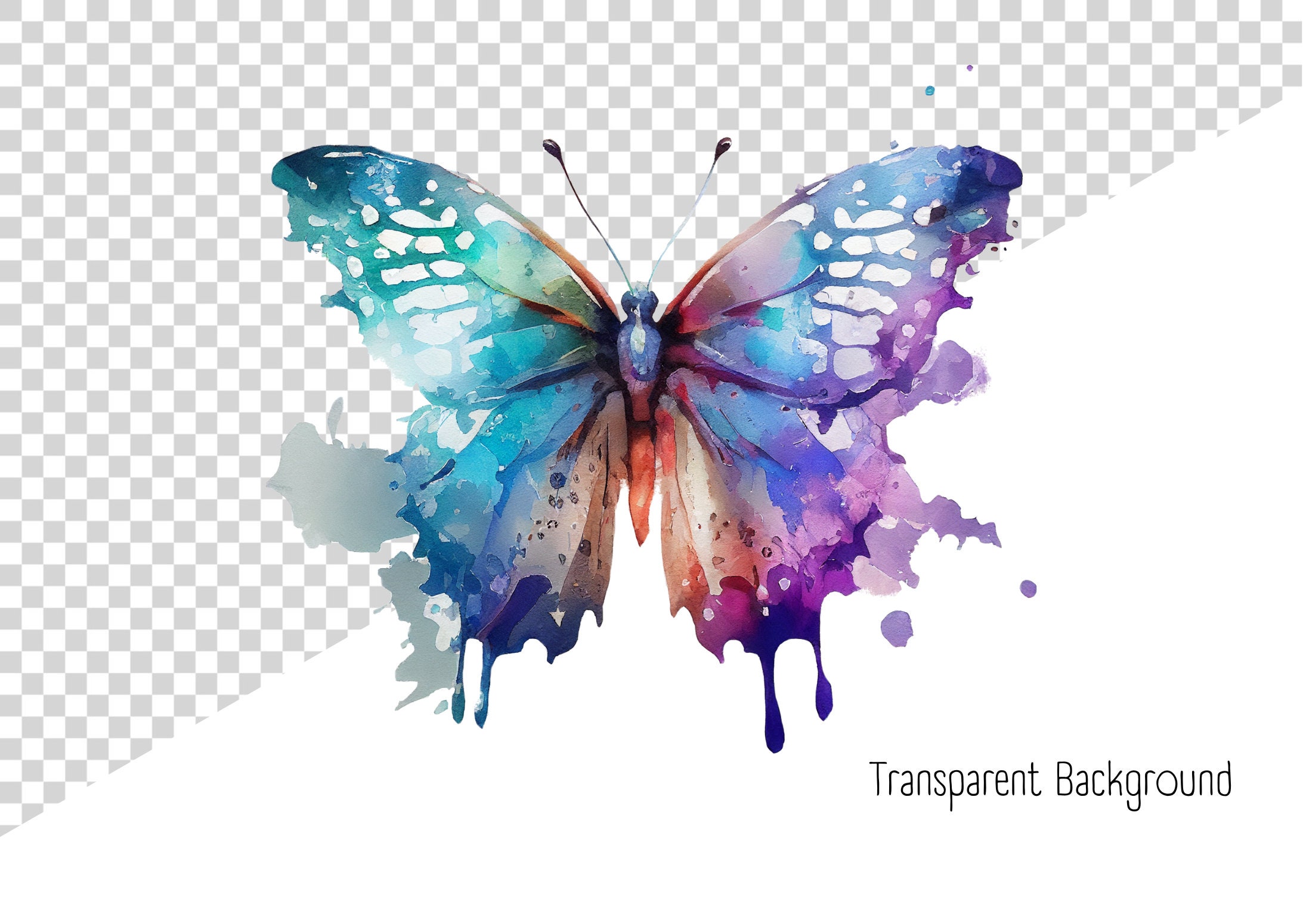 Watercolor Butterfly Clipart Painting Butterly Illustration - Etsy