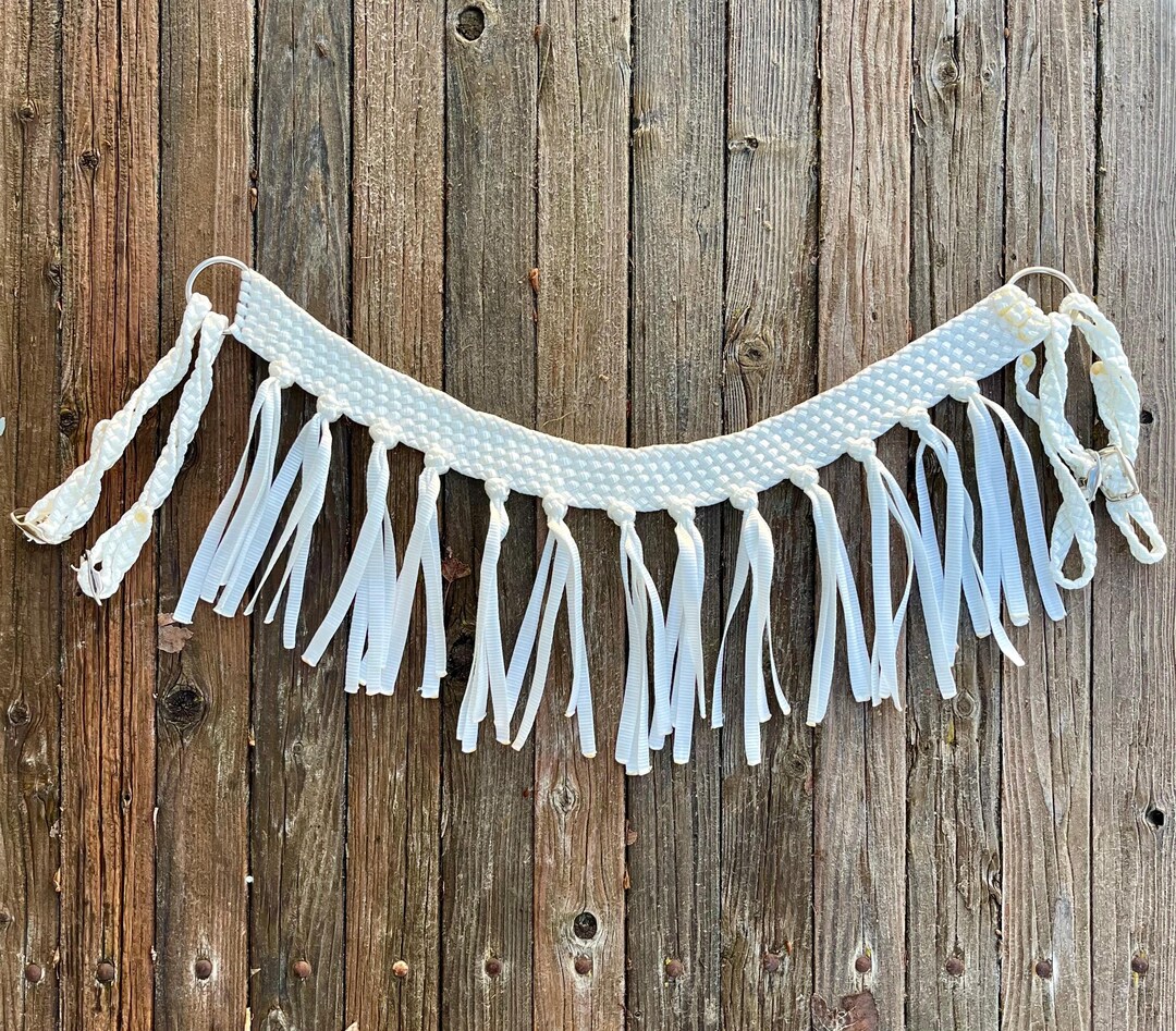 Custom Mule Tape Horse Tripping Collar With Fringe | Sizes Cob - Draft ...