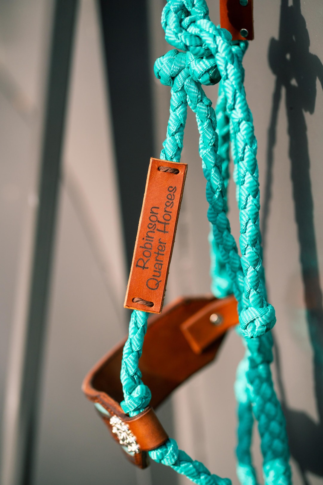 Custom Leather Horse Halter Name Plate: Laser Engraved ID Tag - Etsy