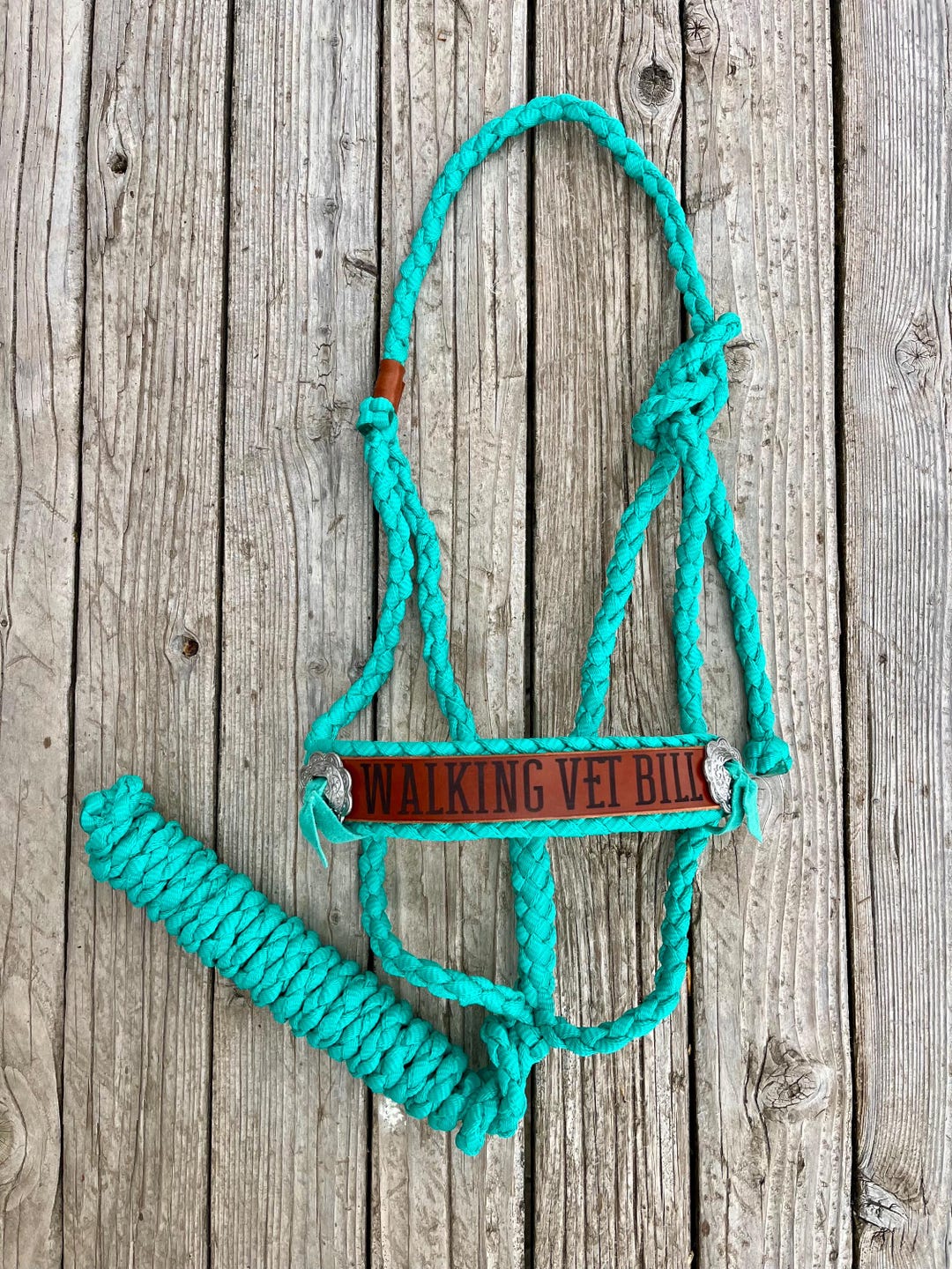 Walking Vet Bill Mule Tape Horse Halter | Turquoise Halter With Conchos ...