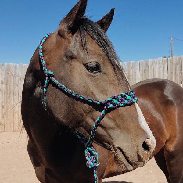 Custom Halter Mule Tape - Etsy