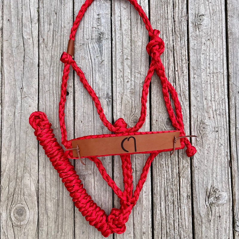 Bronc Halter - Etsy