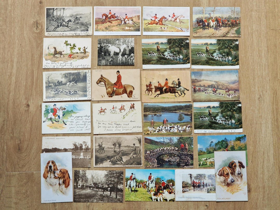 Collection of 46 Vintage Fox Hunting Postcards. - Etsy