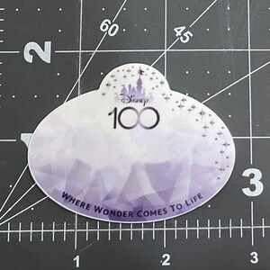 Disneyland Disney World Name Tag Flat Back Planar Resin | Cast Member ...