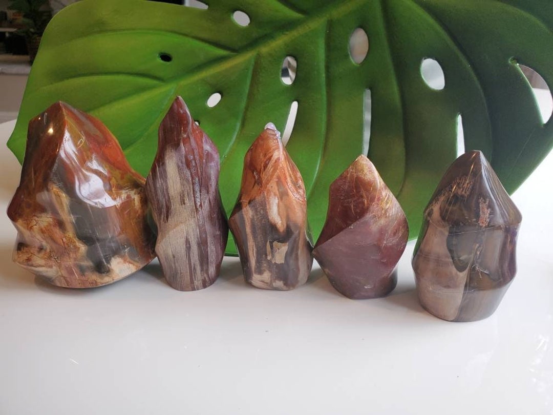 Petrified Wood Flames Your Choice - Etsy
