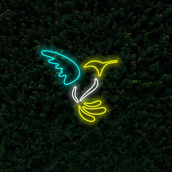 Hummingbird Flight - Etsy