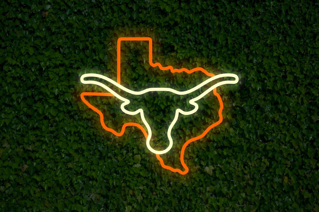 LED Neon Sign Texas Map With Longhorn Bull, Neon Lamp for Cowboys, LED ...