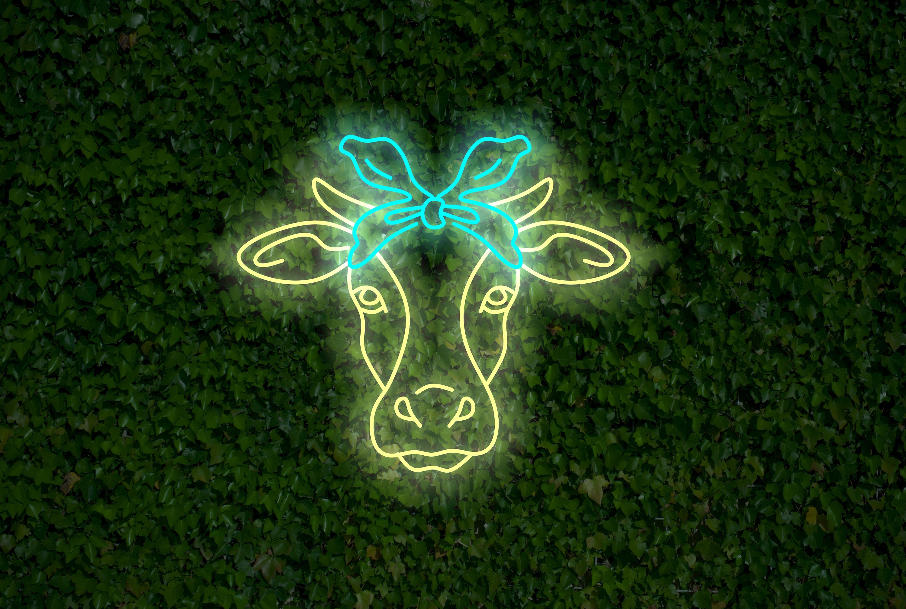 Cow Head Neon Sign, Pink Bandana, LED Neon Light - Etsy