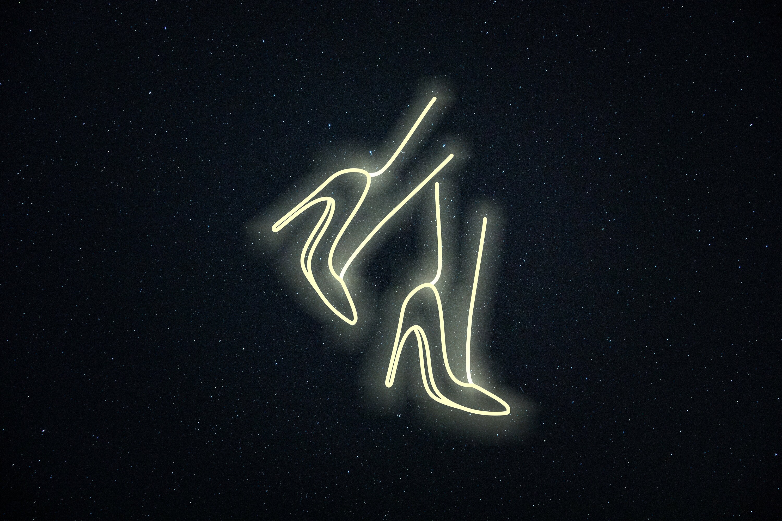 Woman Legs on Heels, Heels Shoes for Ladies Neon Sign, Pumps Shoe for ...