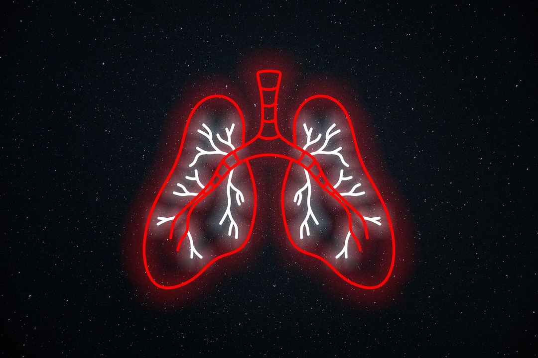 Neon Sign Human Lungs Wall Decor, Human Lungs Neon Sign Light ...