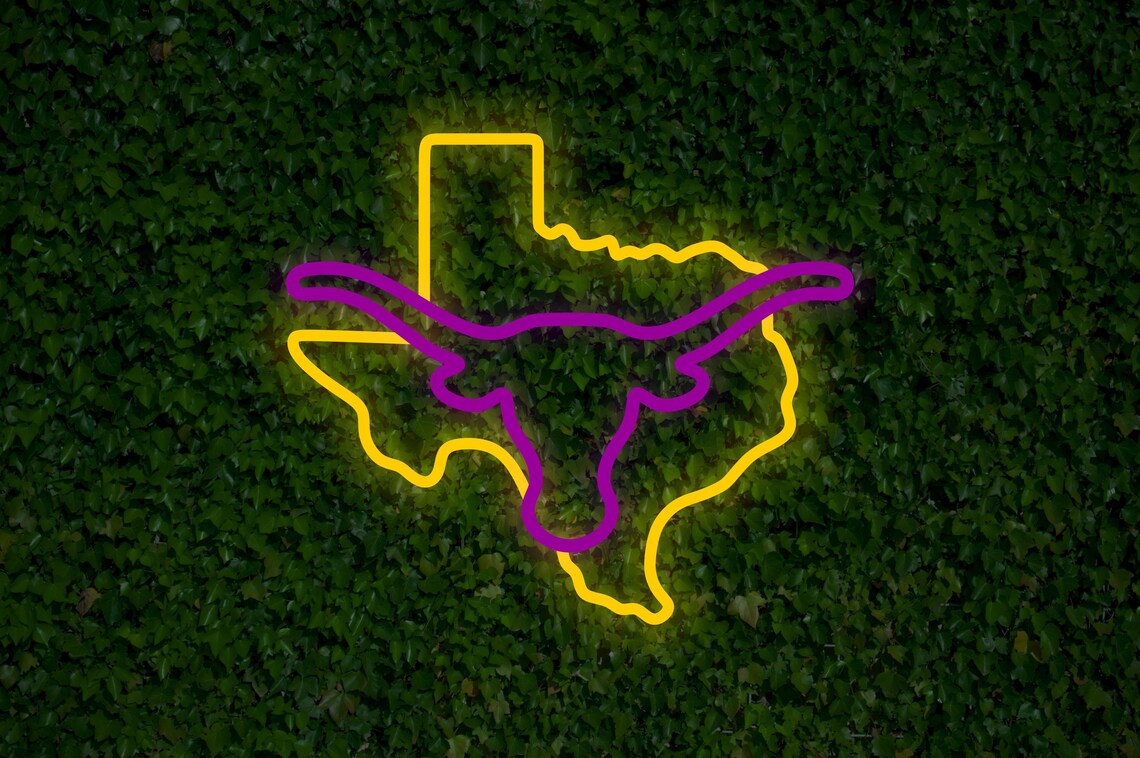Texas Map LED Neon Sign, Longhorn Bull, Western Decor - Etsy