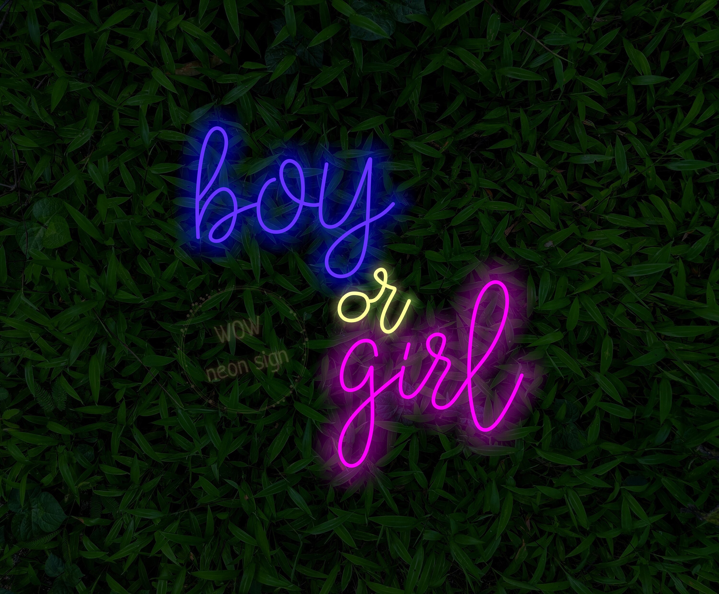 Boy or Girl Led Neon Sign, Gender Prediction Neon Sign, Gender Reveal ...