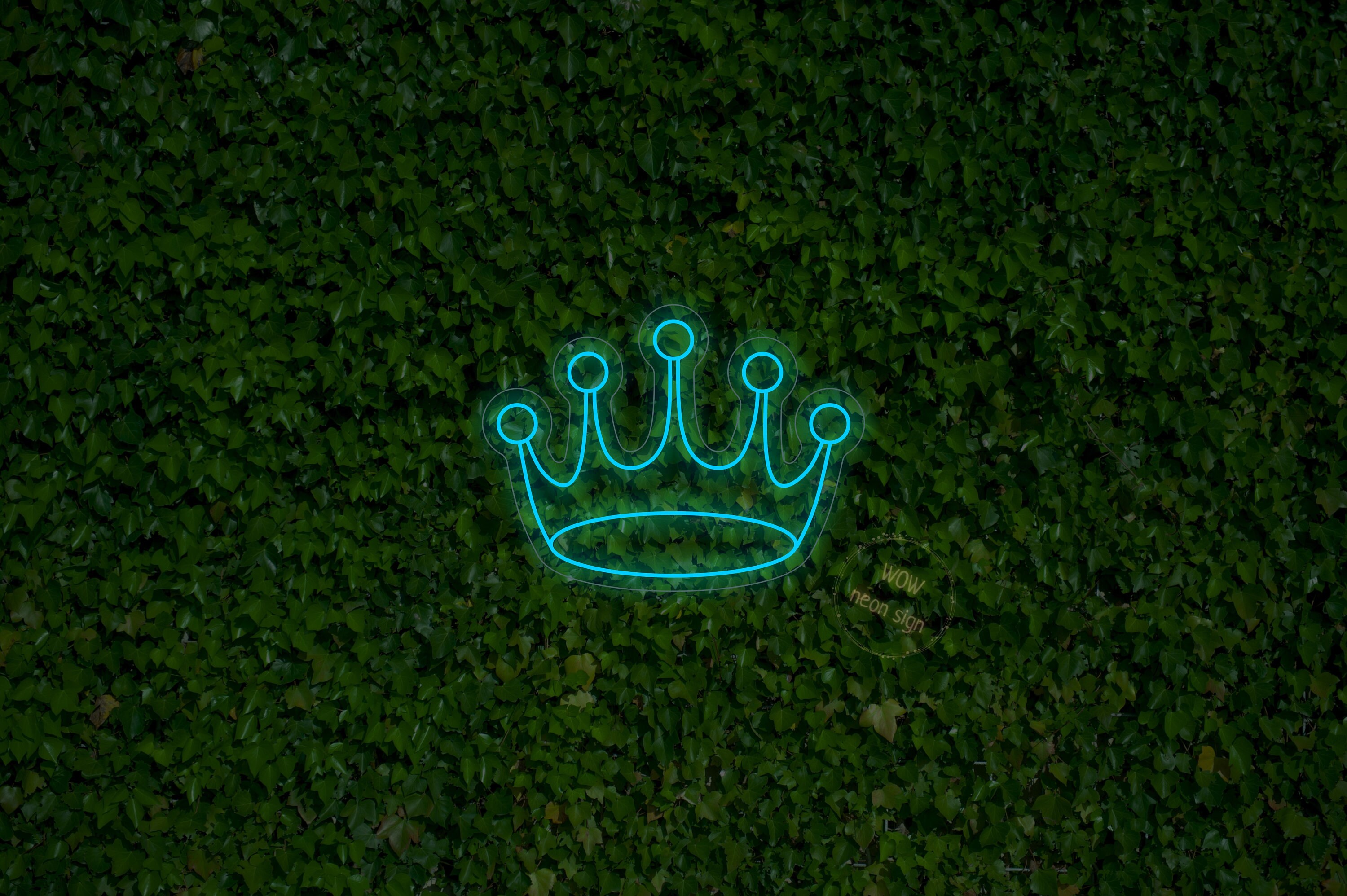 Queen Crown Neon Sign, Diadem Neon Sign, King Crown Neon Sign - Etsy