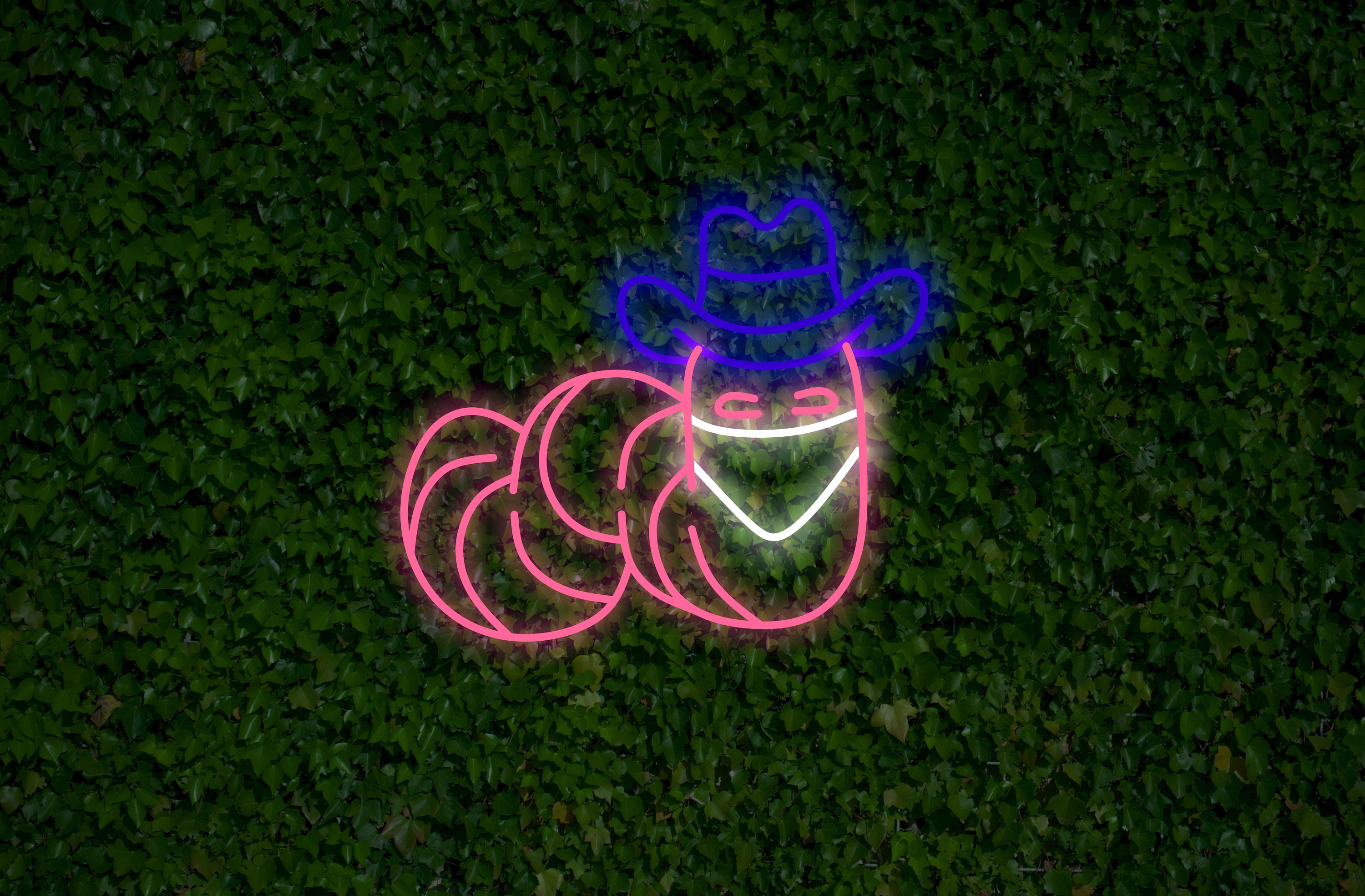 Cowboy Worm Led Neon Worm in Cowboy Hat Neon Sign Western - Etsy