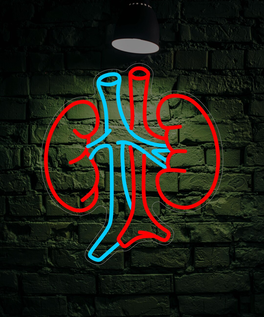 Kidney Anatomy LED Neon Sign – Human Kidneys Wall Light, Medical Office ...