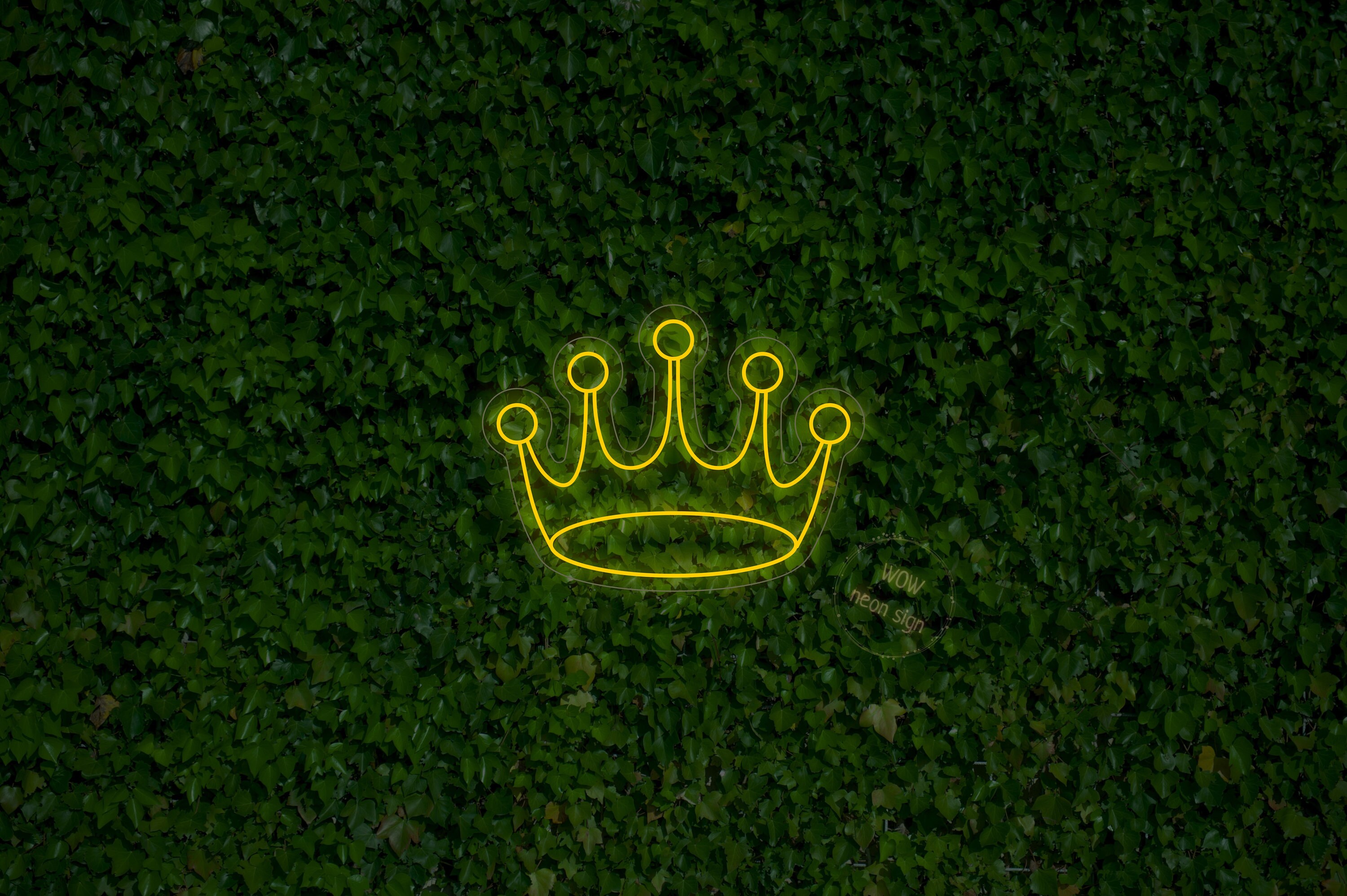 Queen Crown Neon Sign, Diadem Neon Sign, King Crown Neon Sign - Etsy