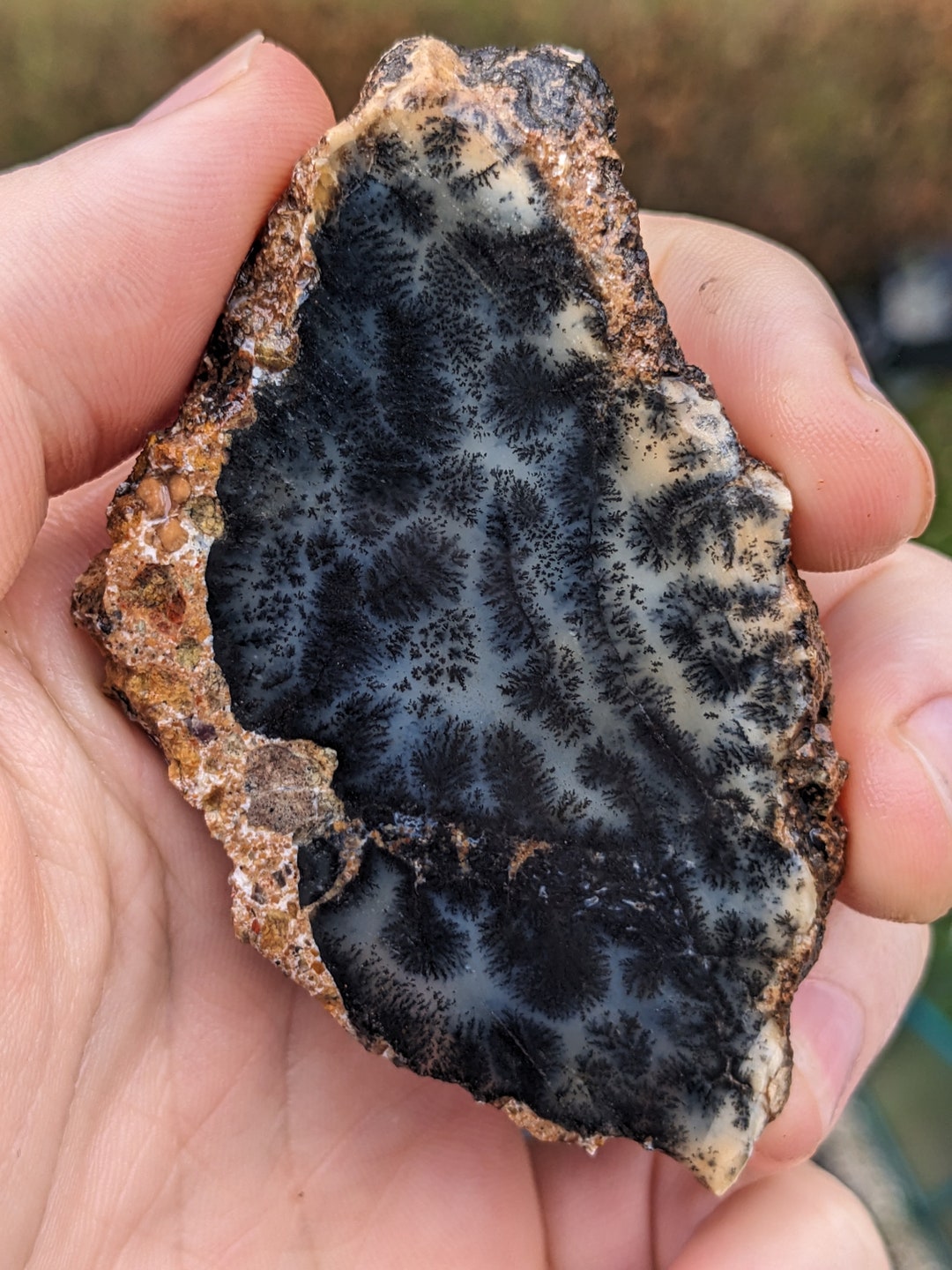 Dendritic Opal Slab - Etsy