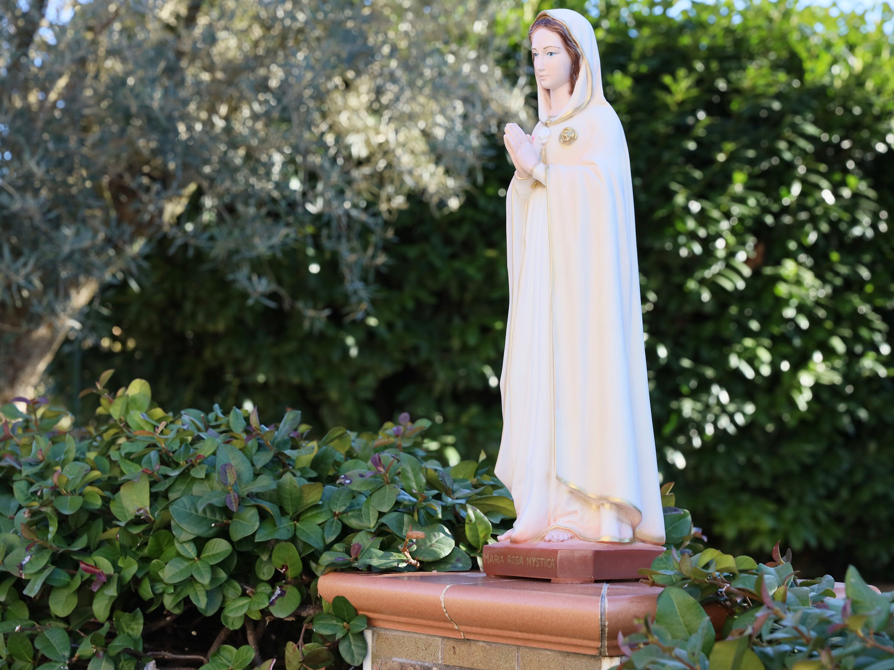 Our Lady of Mystique Rose Statue: 20" Marble Powder, Catholic Garden ...