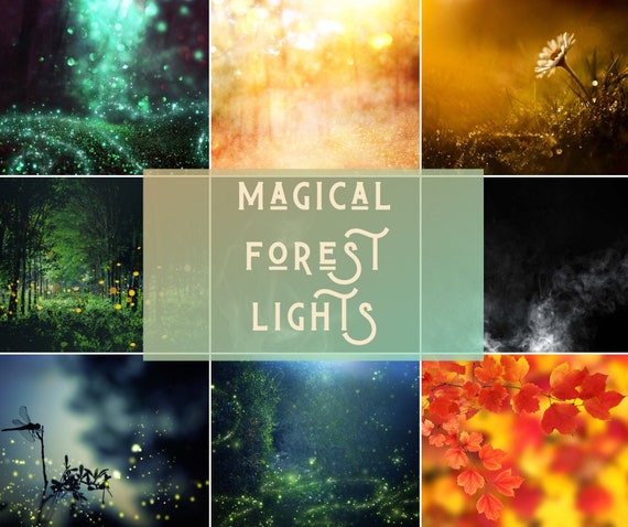 Magical Forest Photoshop Overlays 17 Fireflies & Bokeh - Etsy