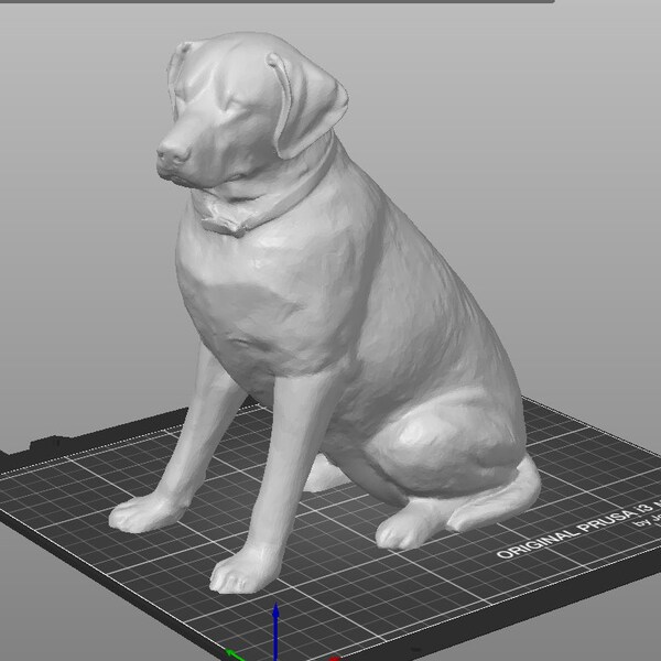 Dog Mannequin - Etsy