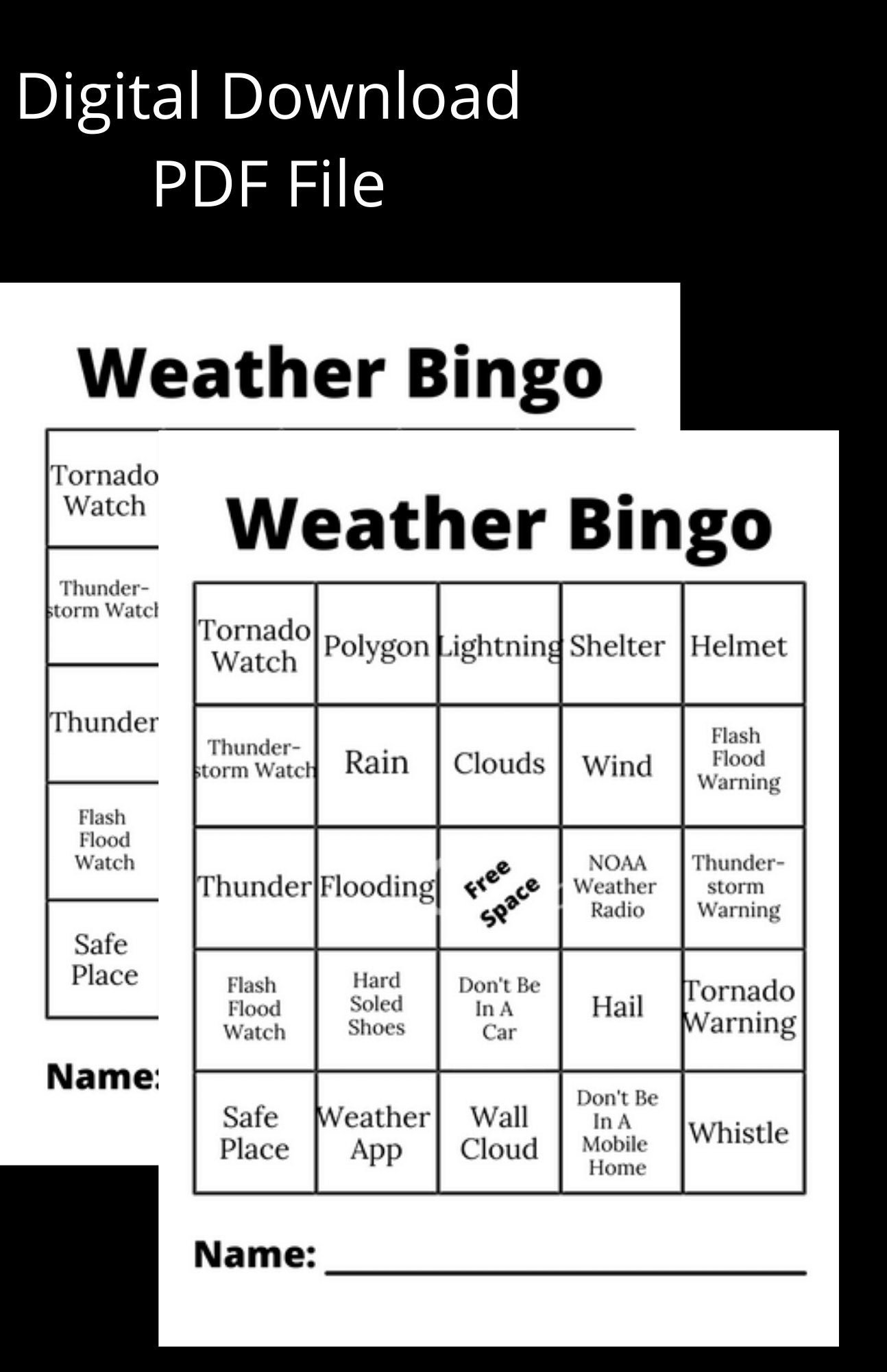 Weather Bingo for Kids Printable Educational Game for Kids to Play ...