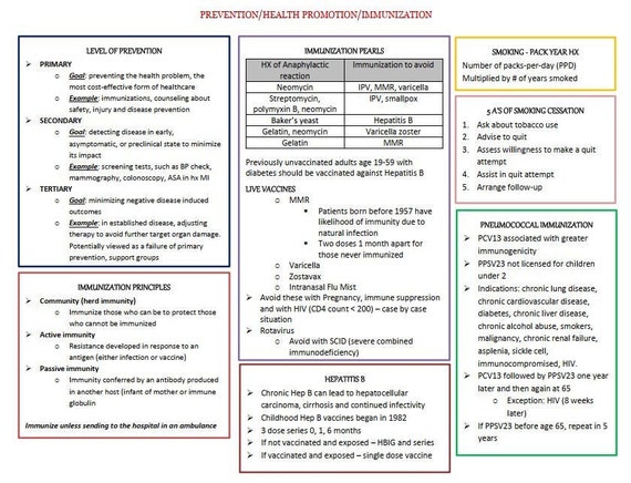 AANP Exam Study Guide to Family Nurse Practioner FNP Digital - Etsy