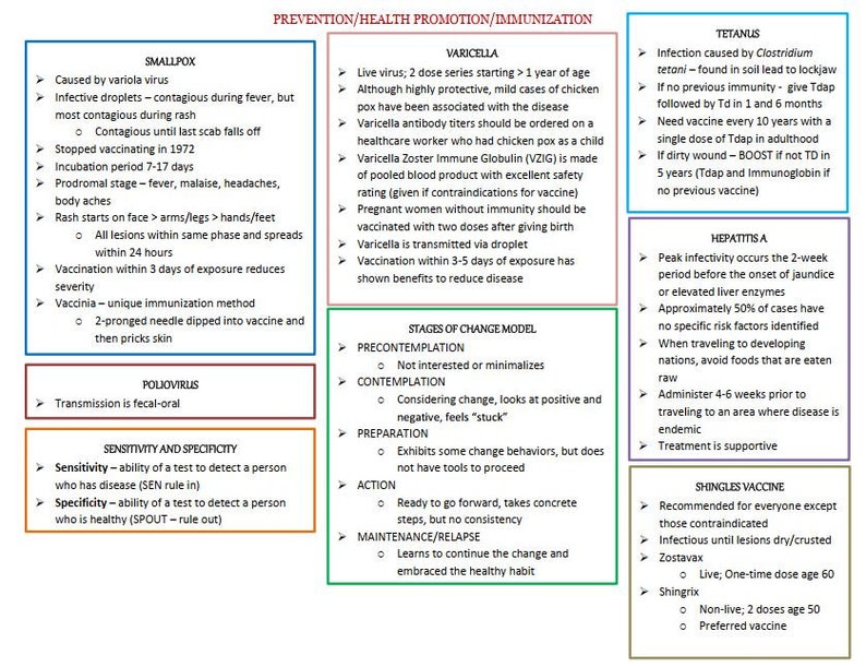 AANP Exam Study Guide to Family Nurse Practioner FNP - Digital Item/fnp ...
