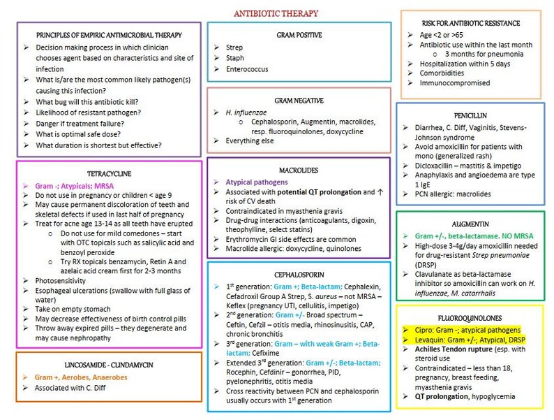 AANP Exam Study Guide to Family Nurse Practioner FNP - Digital Item/fnp ...