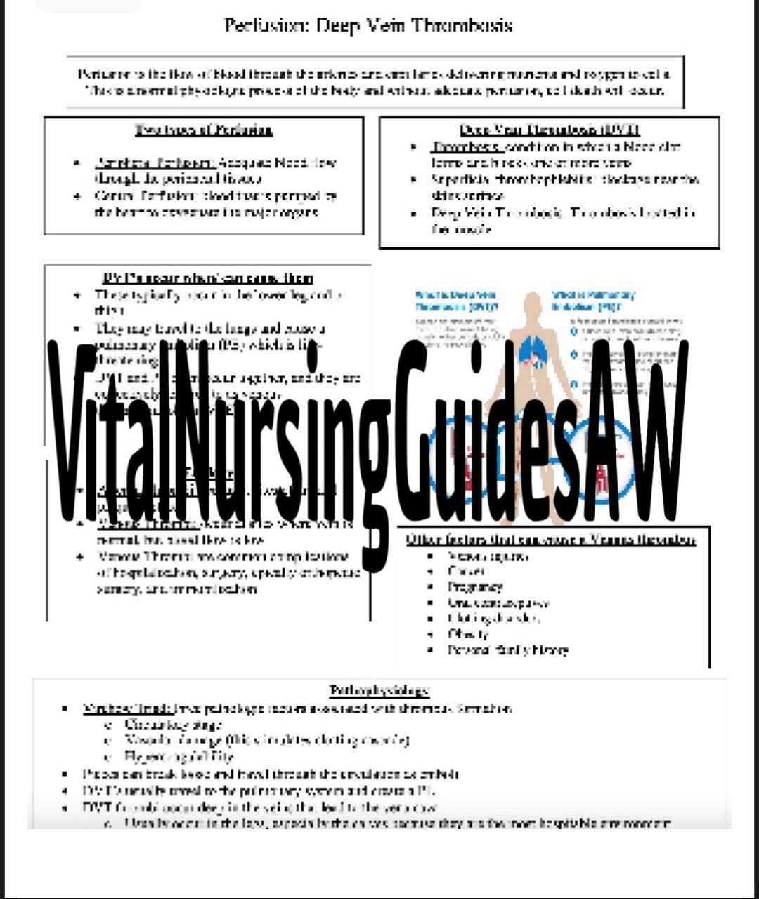 DVT Study Guide - Etsy