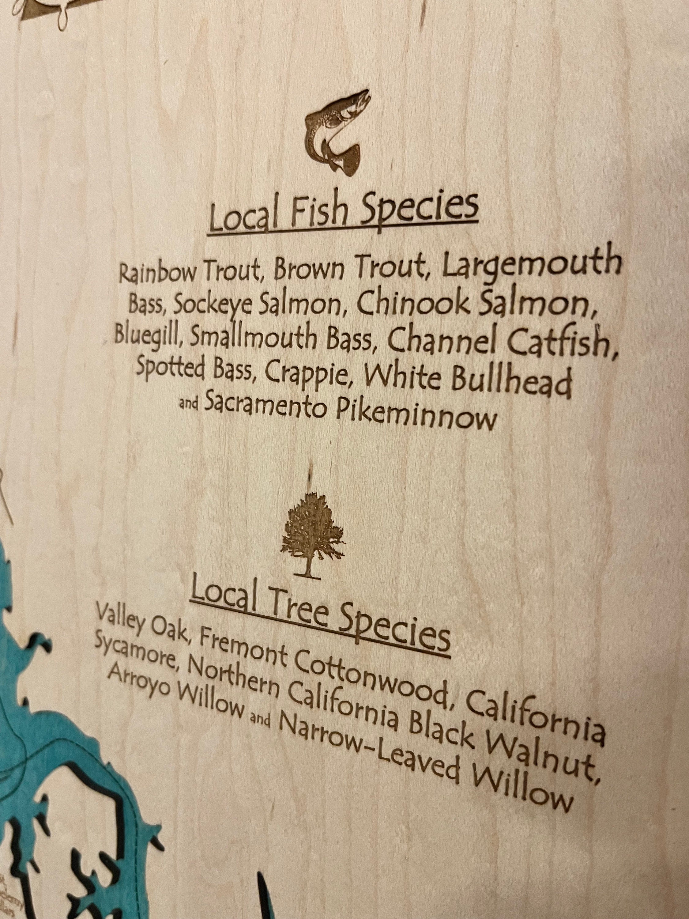 Wooden Lake Berryessa Map, 3D Nautical Map | California | Nautical Wood ...
