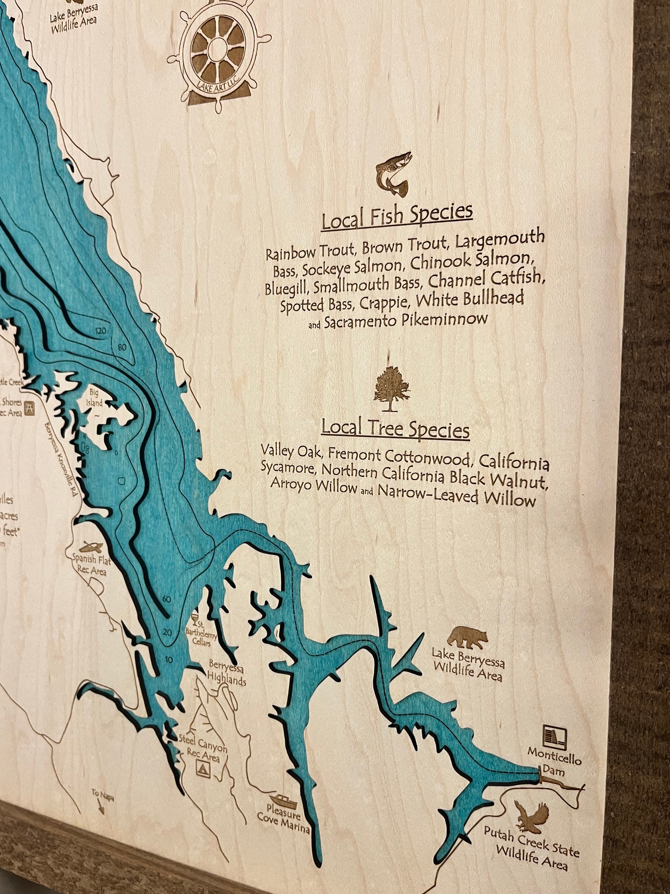 Wooden Lake Berryessa Map, 3D Nautical Map | California | Nautical Wood ...