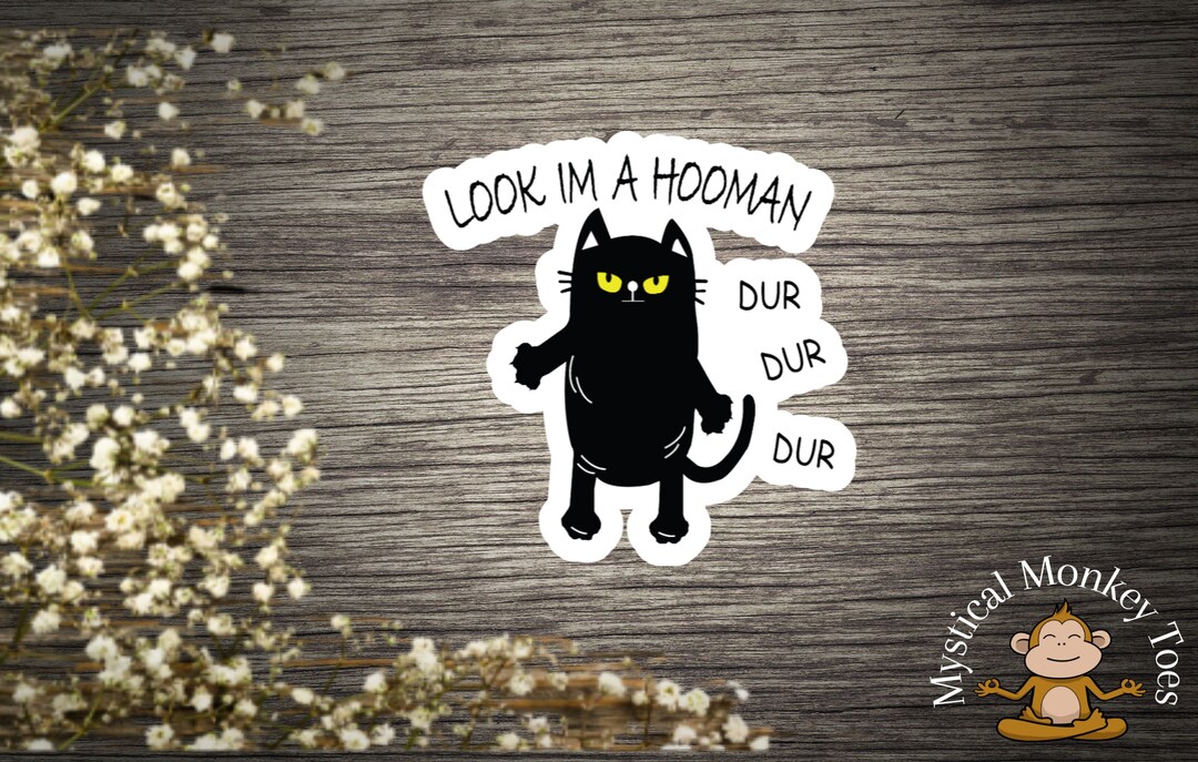 Funny Look A Hooman Sticker | Laptop Sticker | Vinyl Die Cut Sticker ...